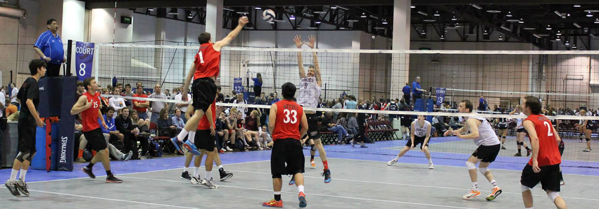 About the Men's Volleyball Club | Sport Clubs | Aztec Recreation | A.S ...